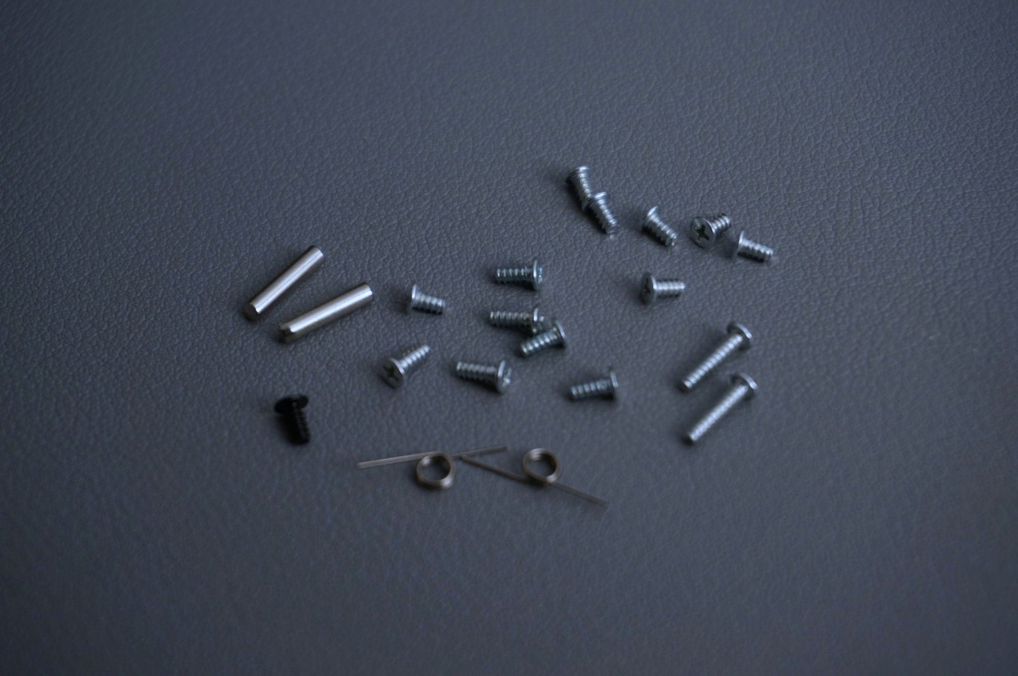 DS Lite (NDSL) screws, springs and posts